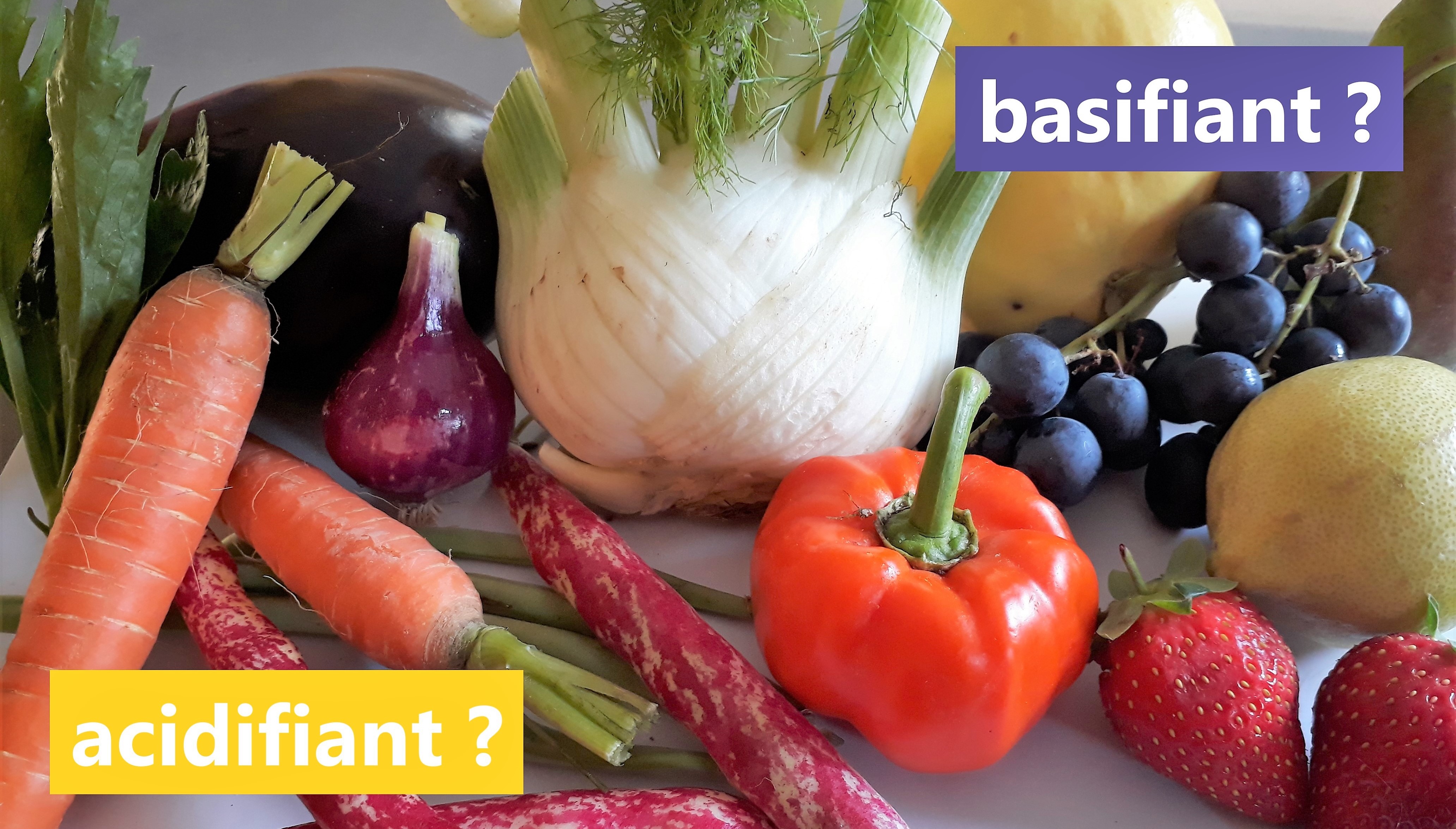 Acide – Acidité – Acidification – La nutrition sensorielle